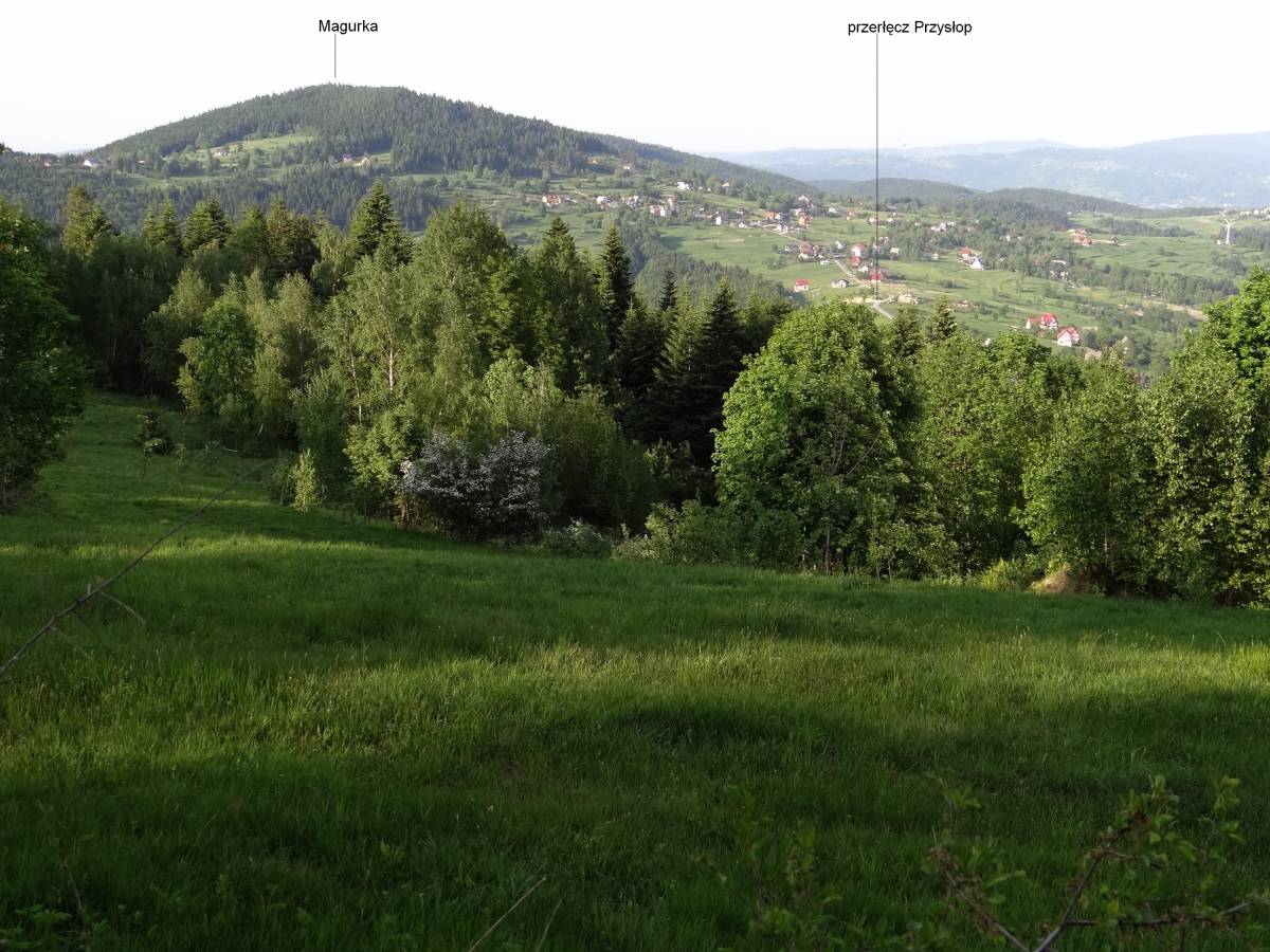 Magurka - Rowerowa Małopolska - rowerowamalopolska.pl